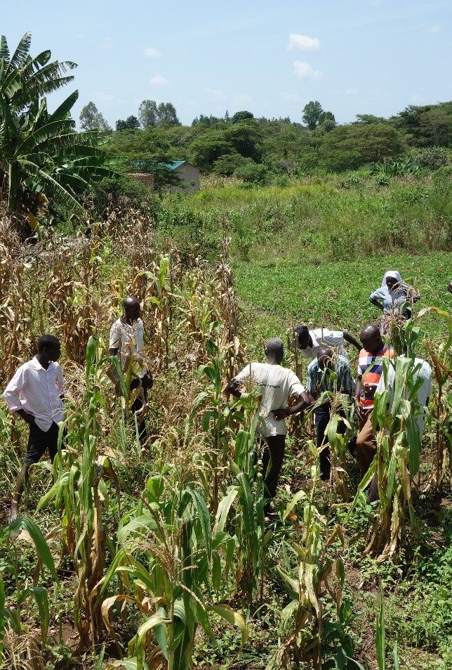 The good practices in land conflict resolution – HANDLE Uganda
